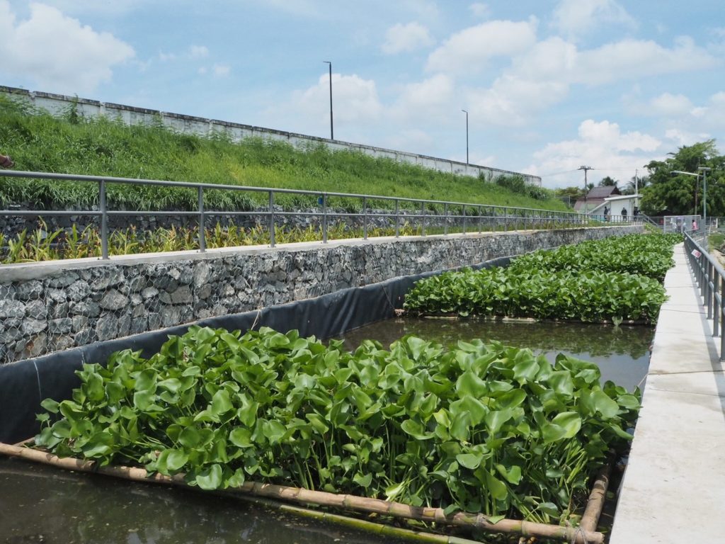 Constructed Wetland – ENVI 101